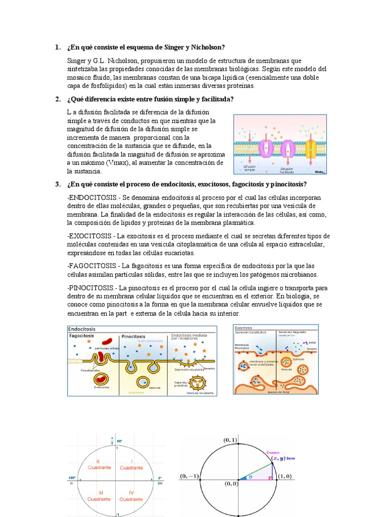 ¿En Qué Consiste El Esquema de Singer y Nicholson? | PDF