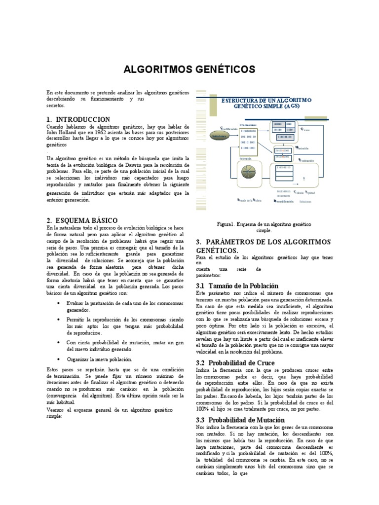 Algoritmos Genéticos | PDF | Algoritmo genético | Mutación