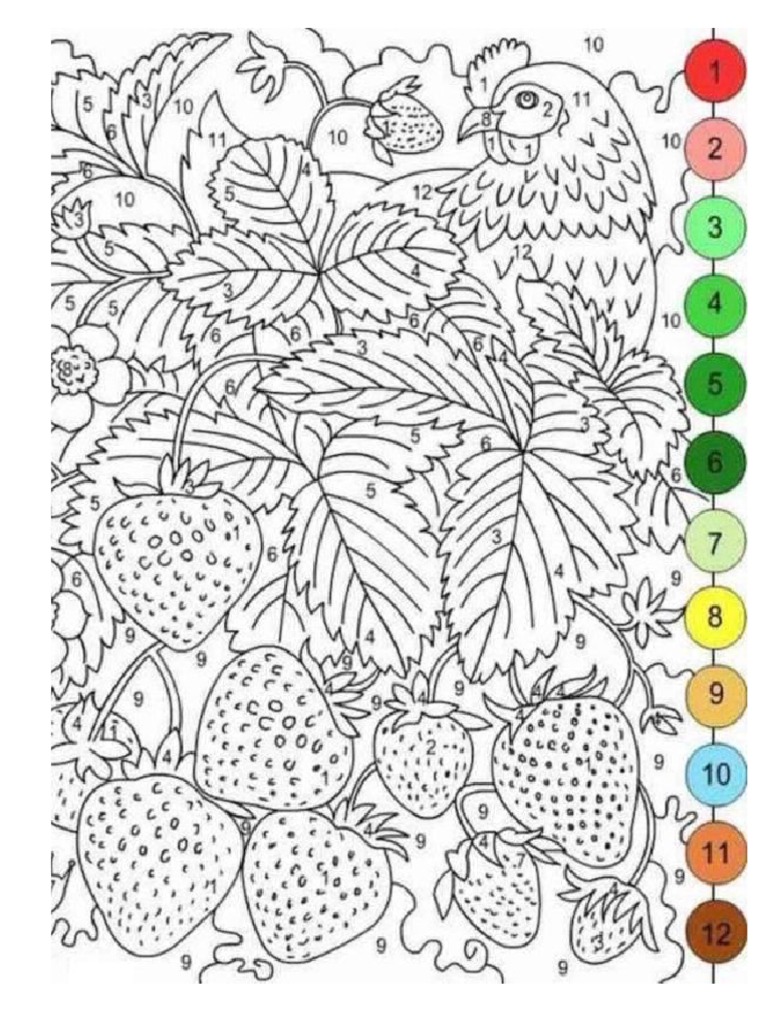 Libro para Colorear | PDF