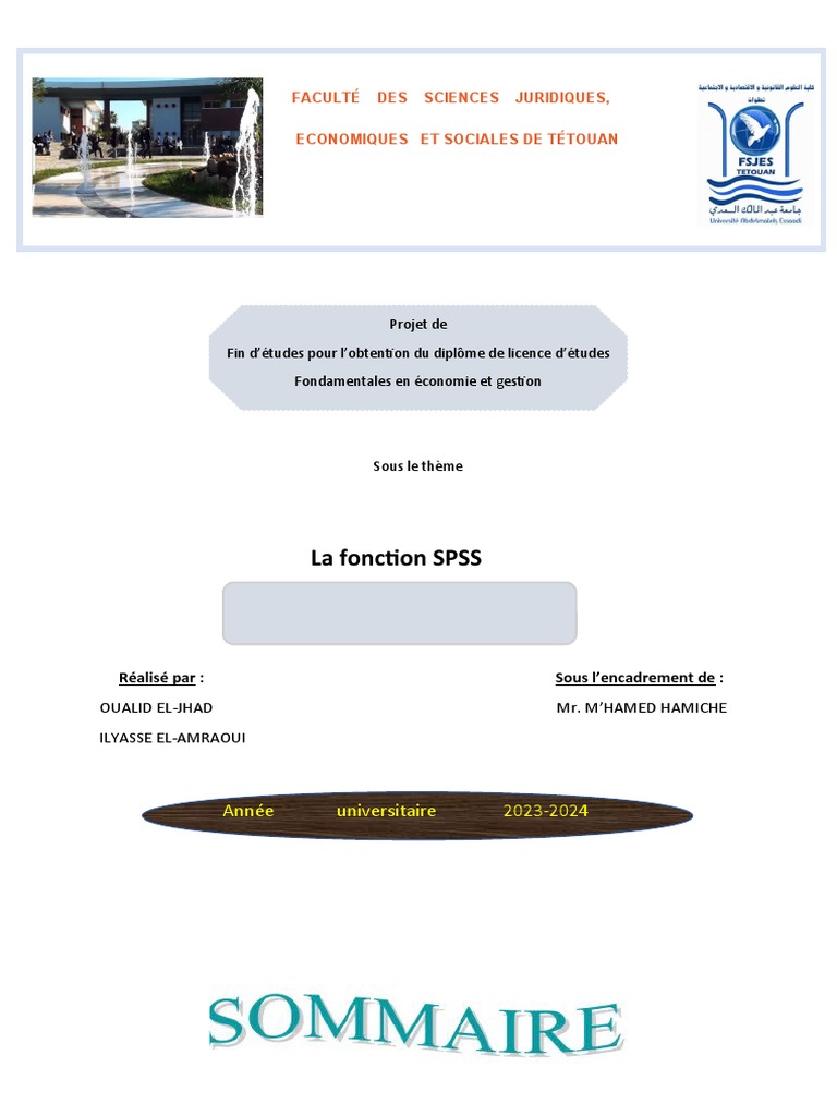 Nouveau PFE 2 | PDF | Client–serveur | SPSS