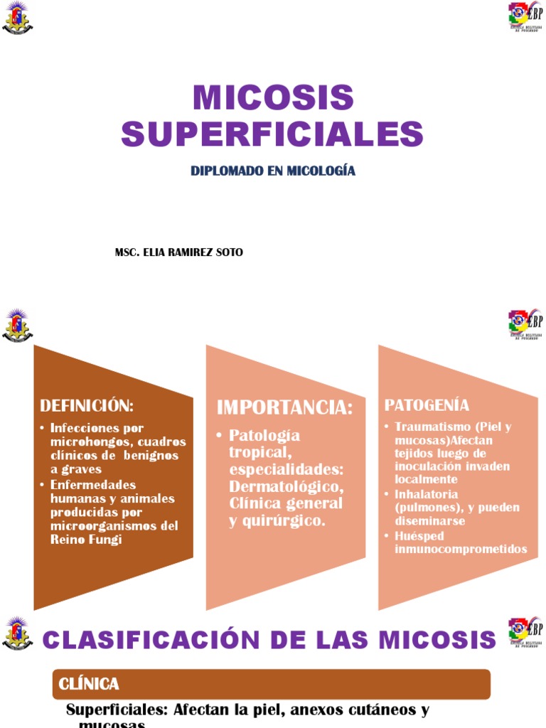 Micosis Superficiales en Dermatología | PDF | Ciencias de la Salud ...