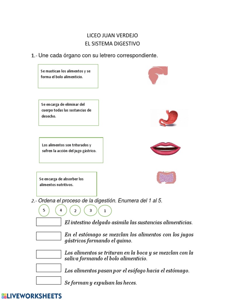 Eval. 2° U2 | PDF