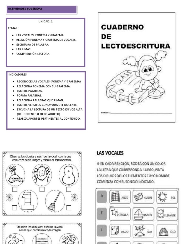 CUADERNILLO DE LENGUA Vocales Letras Leer | PDF