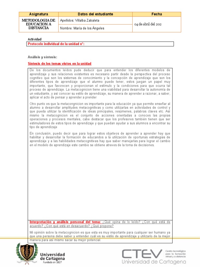 Plantilla Protocolo Individual | PDF | Aprendizaje | Teoria de la mente