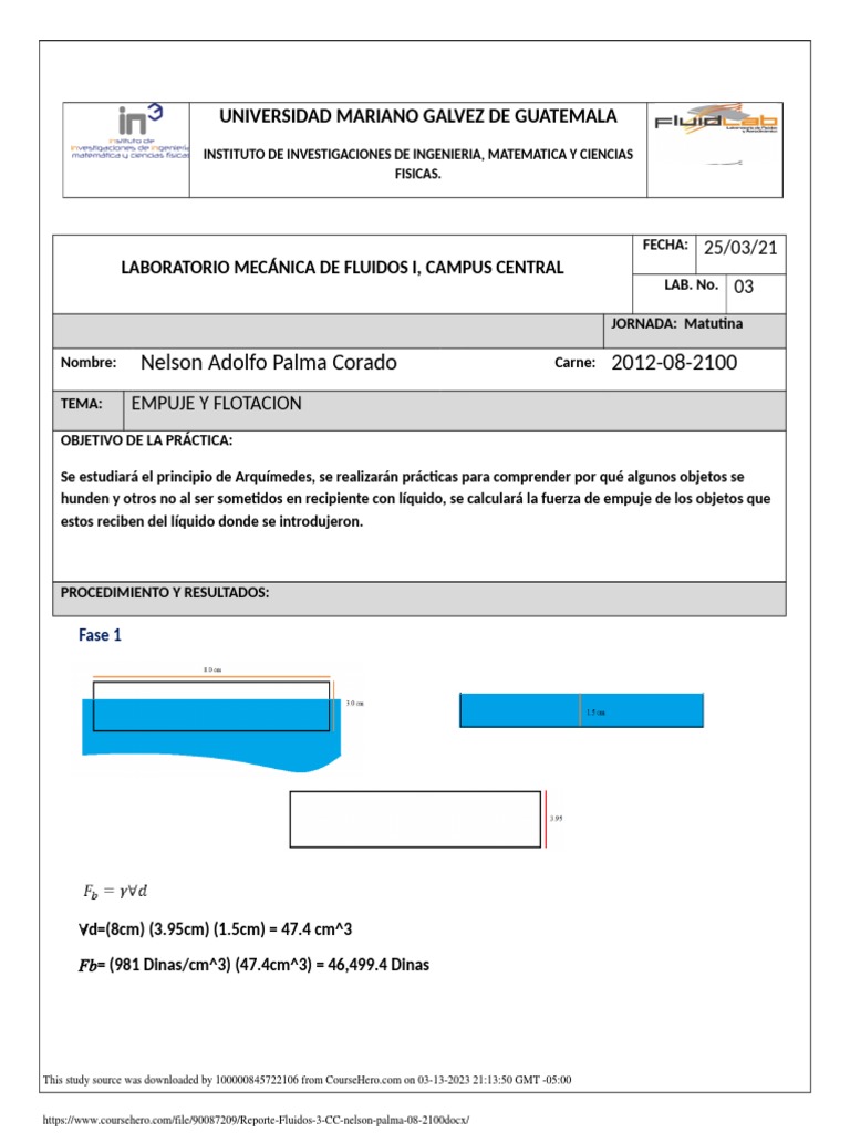 Reporte Fluidos 3 CC Nelson Palma 08 2100 | PDF | Mecanica clasica ...