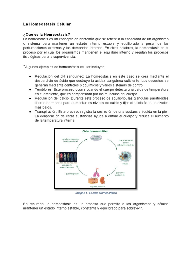 Blog. La Homeostasis Celular | PDF