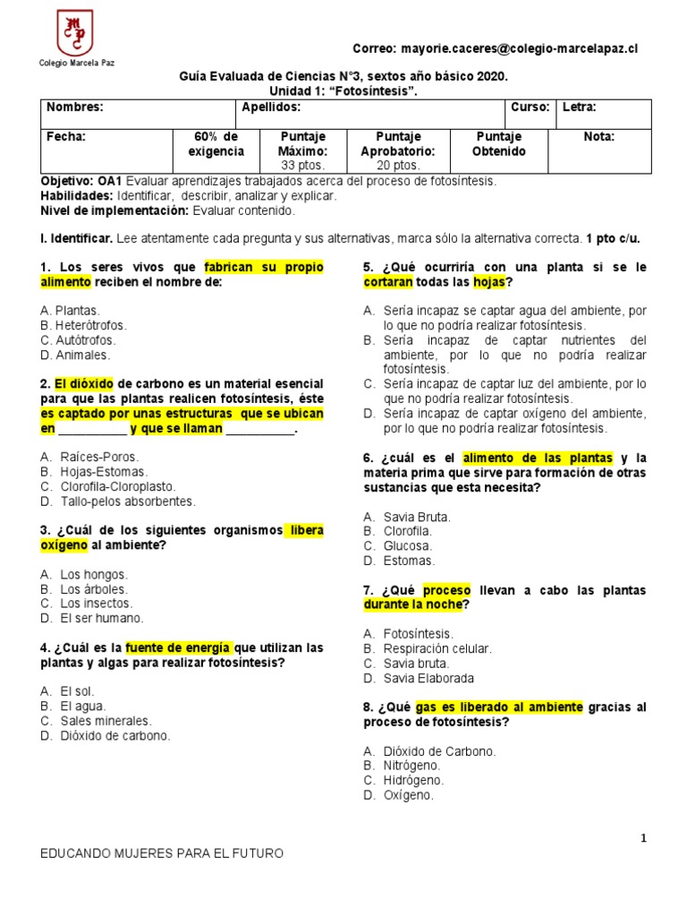 Ciencias 6°basico Guía Semana15 | PDF | Fotosíntesis | Plantas