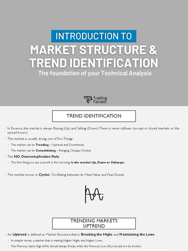 Market Structure Guidelines | PDF