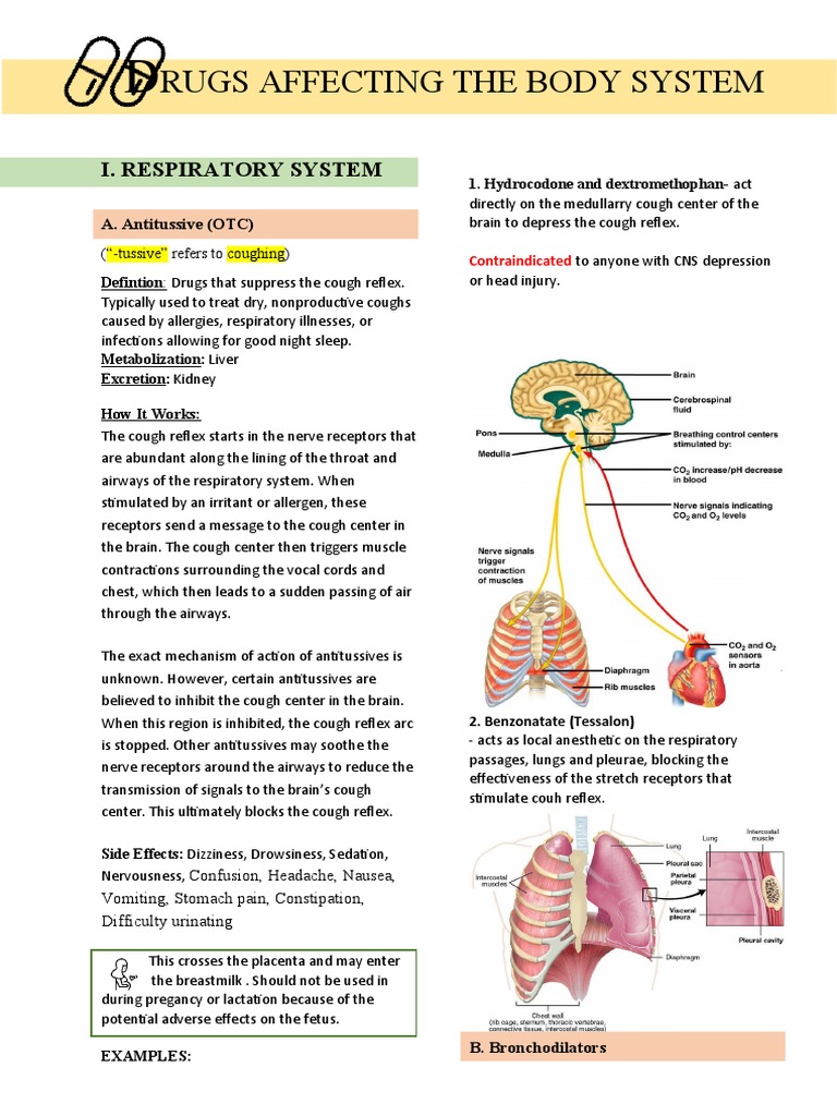 Drugs Affecting The Body System | PDF | Clinical Medicine | Drugs