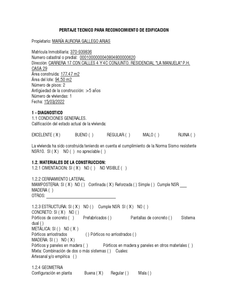 Modelo Peritaje | PDF | Ingeniero civil