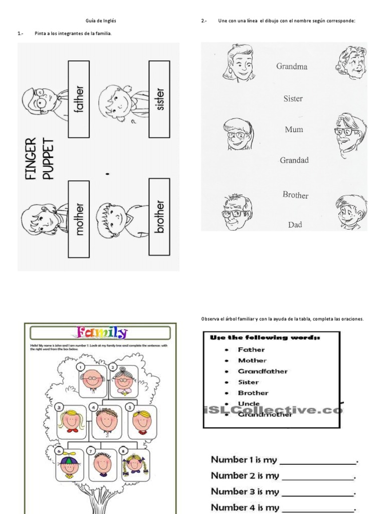 Guía de Inglés My Family 19.08 | PDF