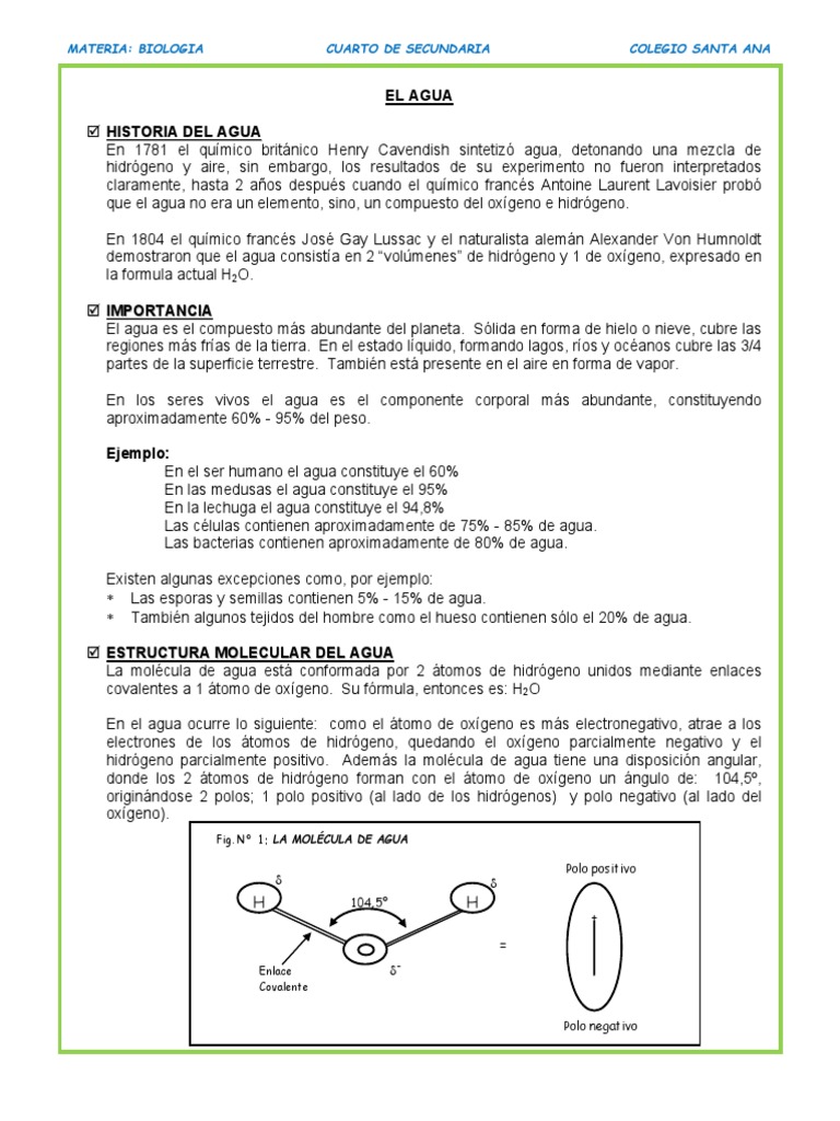 El Agua | PDF | Propiedades del agua | Agua