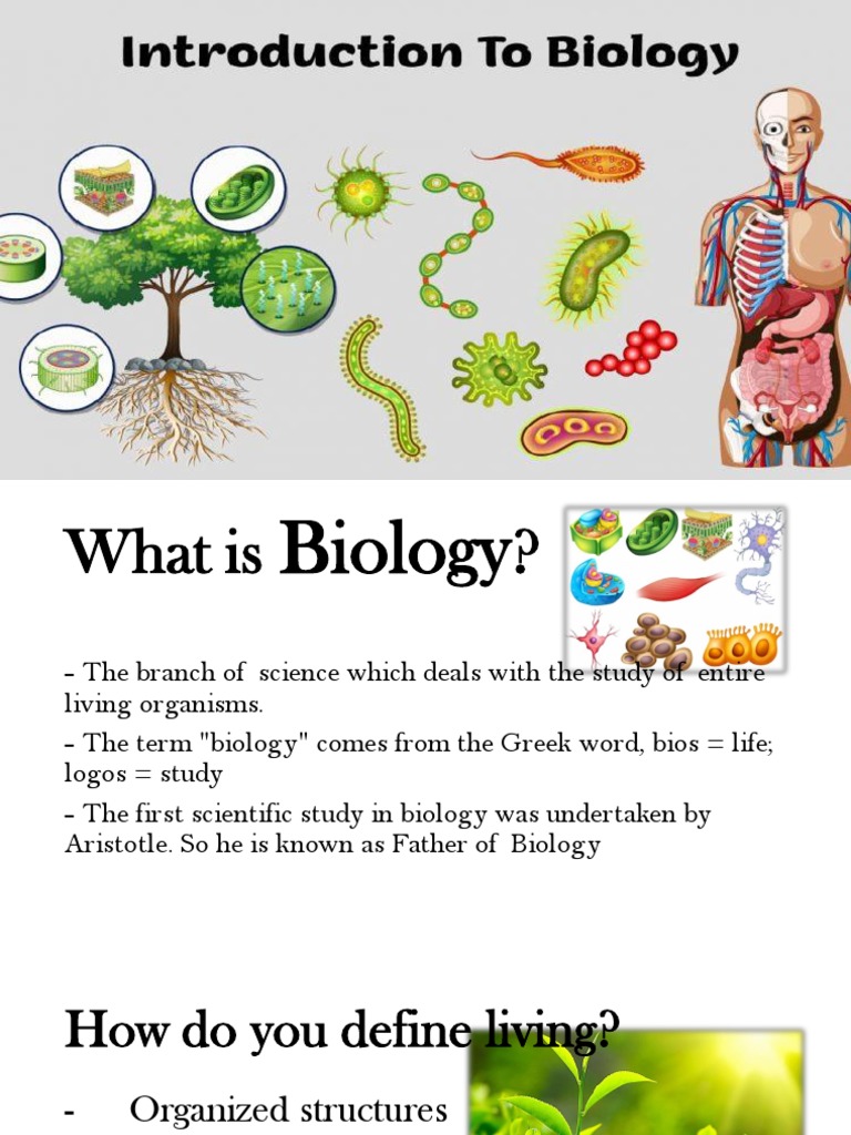 An Introduction to the Fundamental Concepts of Biology | PDF