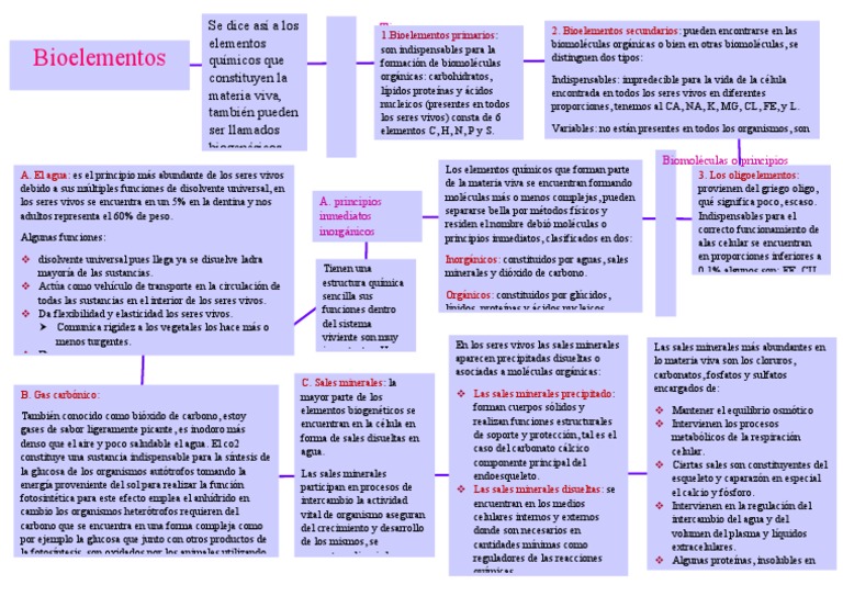 Clasificación y funciones de bioelementos | PDF | Organismos | Biomoléculas