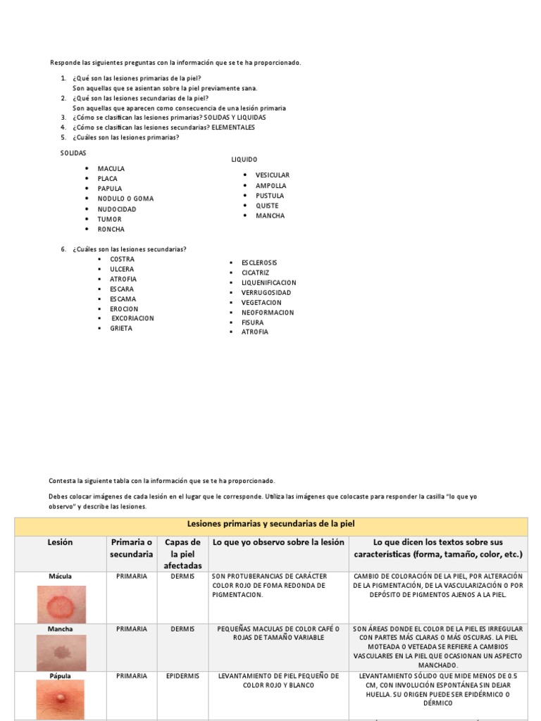 Lesiones Primarias y Secundarias de La Piel Tabla | PDF | Piel | Epidermis