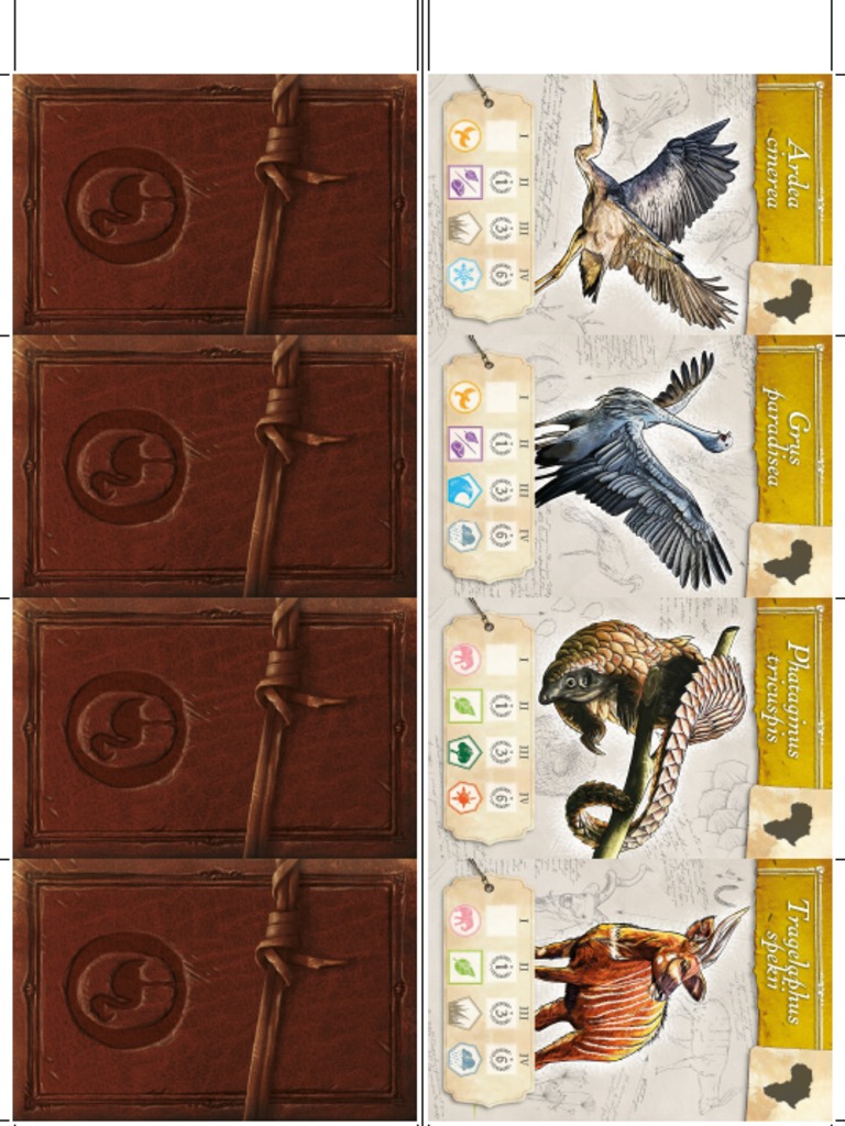 A4 Gutterfold Cards | PDF