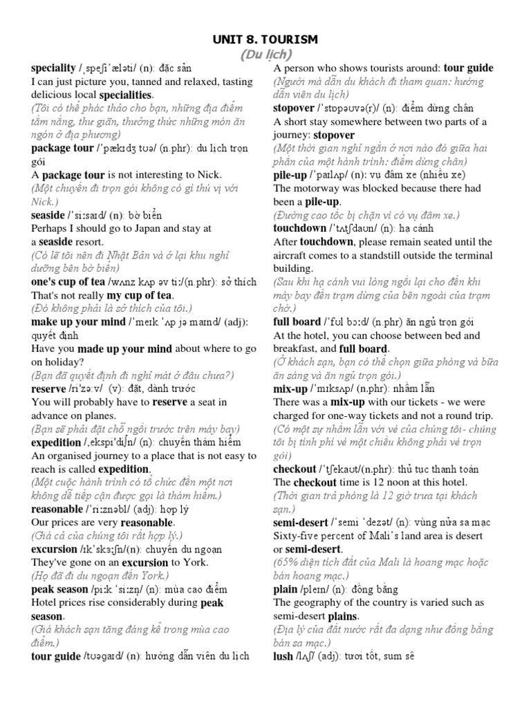 UNIT 8-Vocab-Grammar | PDF