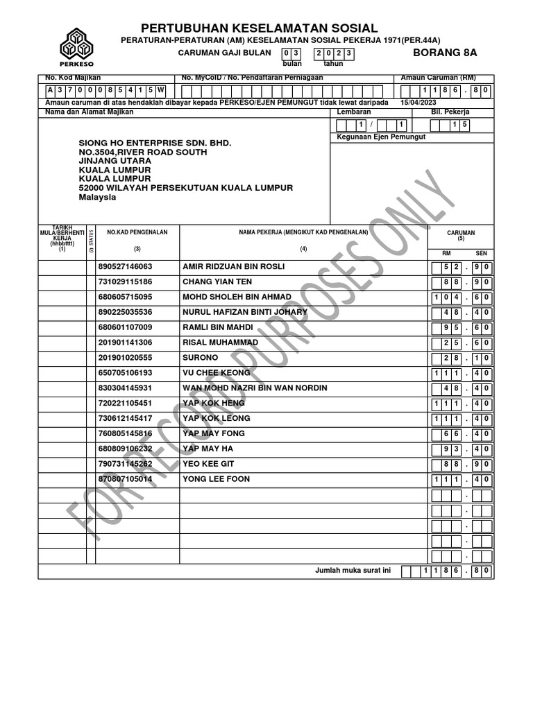 Pertubuhan Keselamatan Sosial | PDF
