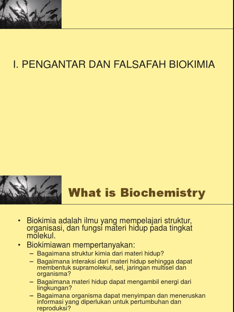 Pengantar Biokimia: Struktur dan Fungsi | PDF | Teknologi & Rekayasa