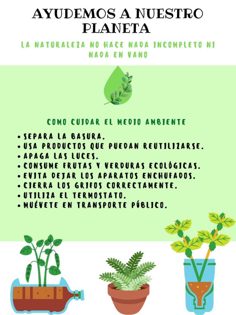 Como Cuidar Al Medio Ambiente | PDF