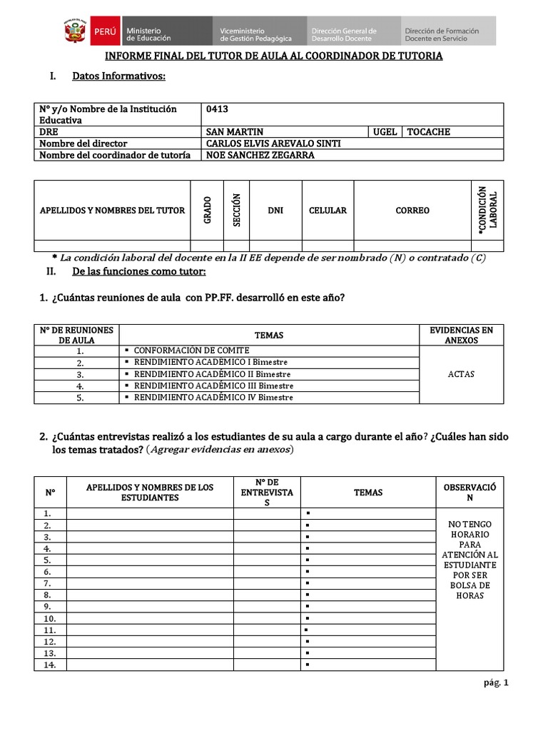 Informe de Tutor de Fin de Año 2018 0413 Modelo | PDF