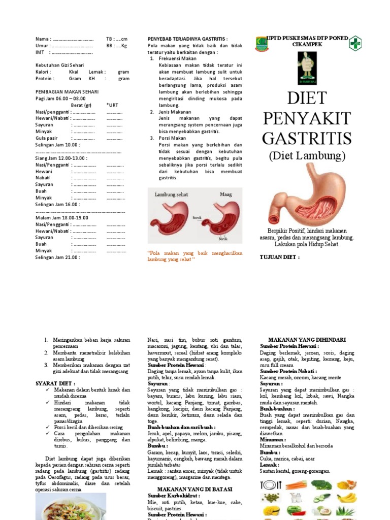 Diet Sehat untuk Penderita Gastritis | PDF