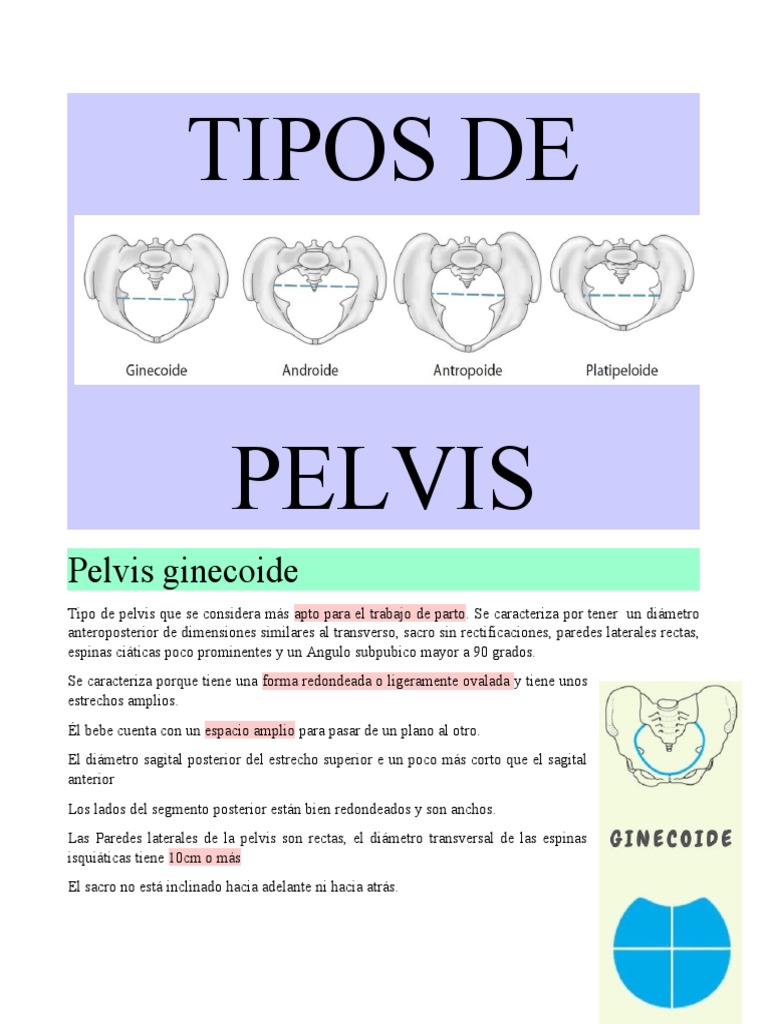 Tipos de Pelvis | PDF | Pelvis