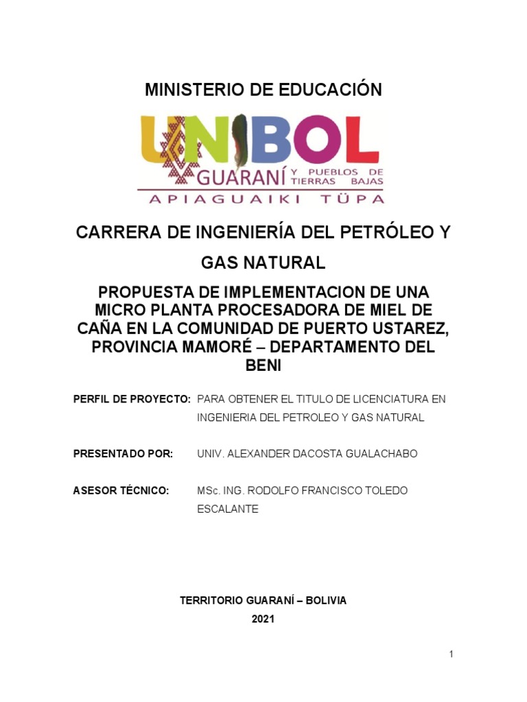 Perfil PEP Produccion de Caña | PDF | Azúcar | Dieta y nutrición