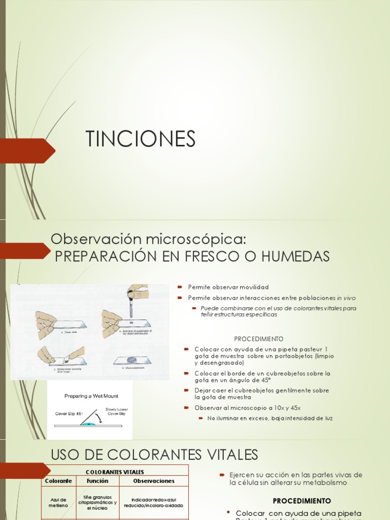 Unidad 1-Tinciones | PDF | Tinción | Microscopía