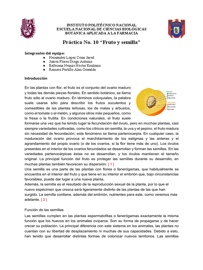 Práctica No. 10 "Fruto y Semilla" | PDF | Fruta | Semilla