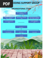 Implementing Executive Order No. 51 | PDF | Breastfeeding | Breast Milk