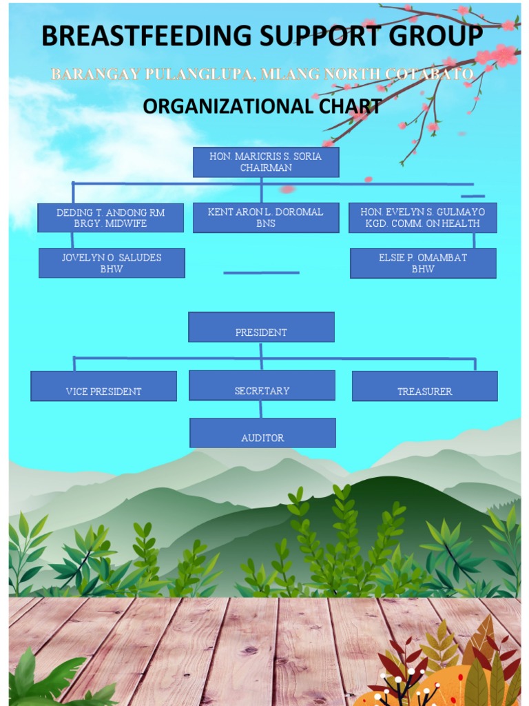 Breastfeeding Support Group Chart | PDF
