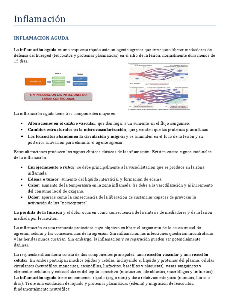 Tetrada de Celso en Inflamación Aguda | PDF | Inflamación | Edema