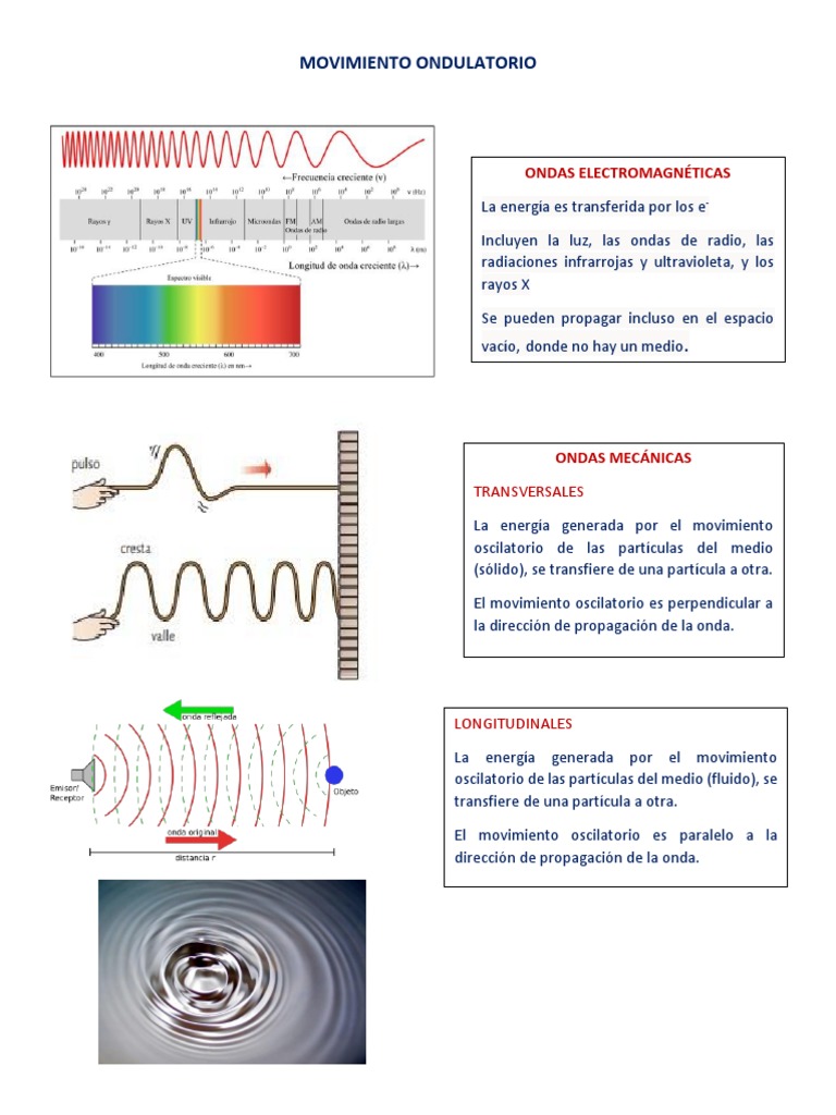 Unidad 3 - Movimiento Ondulatorio | PDF | Olas | Sonido