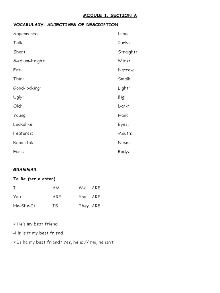 Module 1 Section A Vocabulary and Grammar | PDF