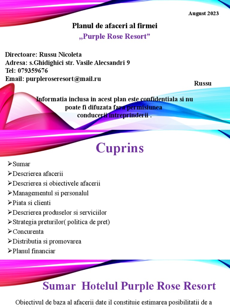 Studiu Individual La Business Plan | PDF
