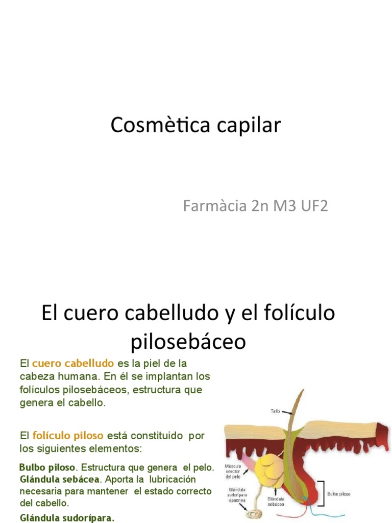 Cosmètica Capilar | PDF | Pelo | Cabello humano