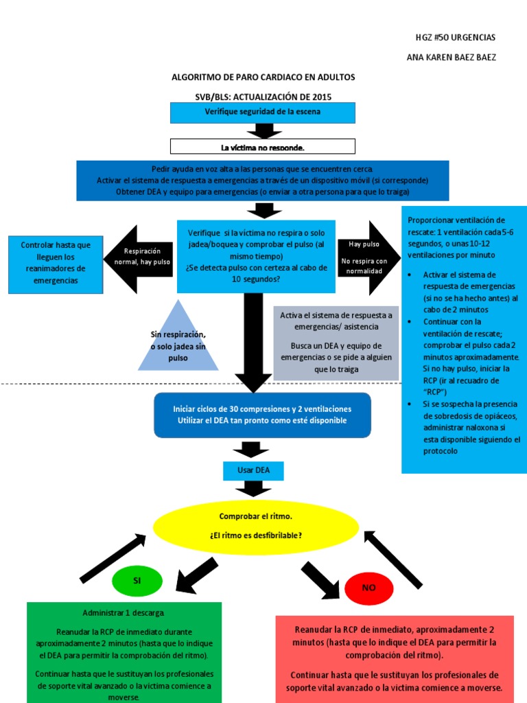 Algoritmo BLS | PDF | Reanimación cardiopulmonar | Servicios médicos de emergencia