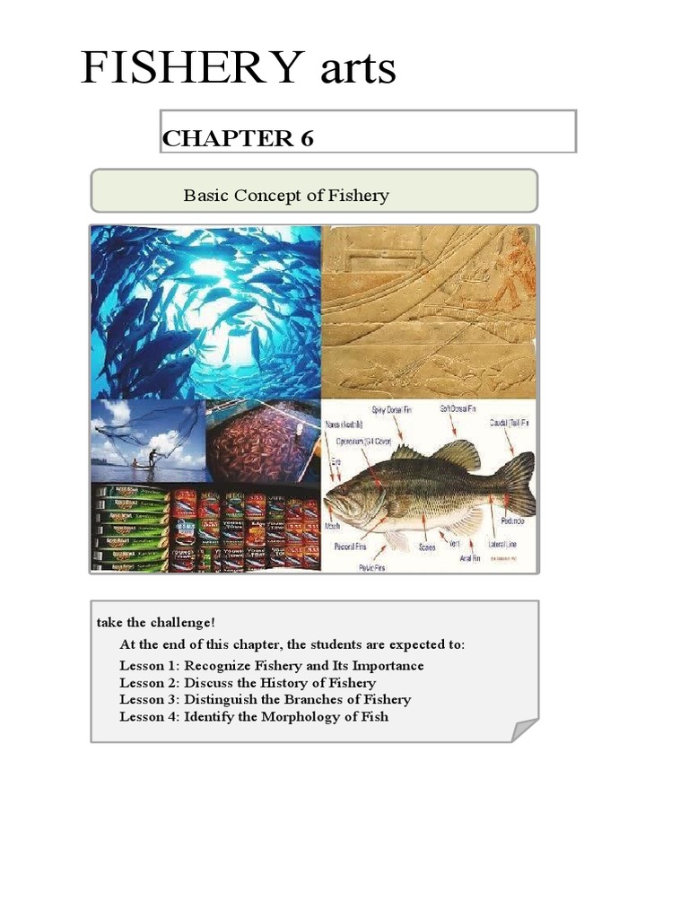 Overview of Fishery Arts and Its Branches | PDF | Fish | Gill