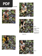 Filipino 1 Wastong Pagsulat NG Malaki at Maliit Na Letra Worksheet 4 | PDF