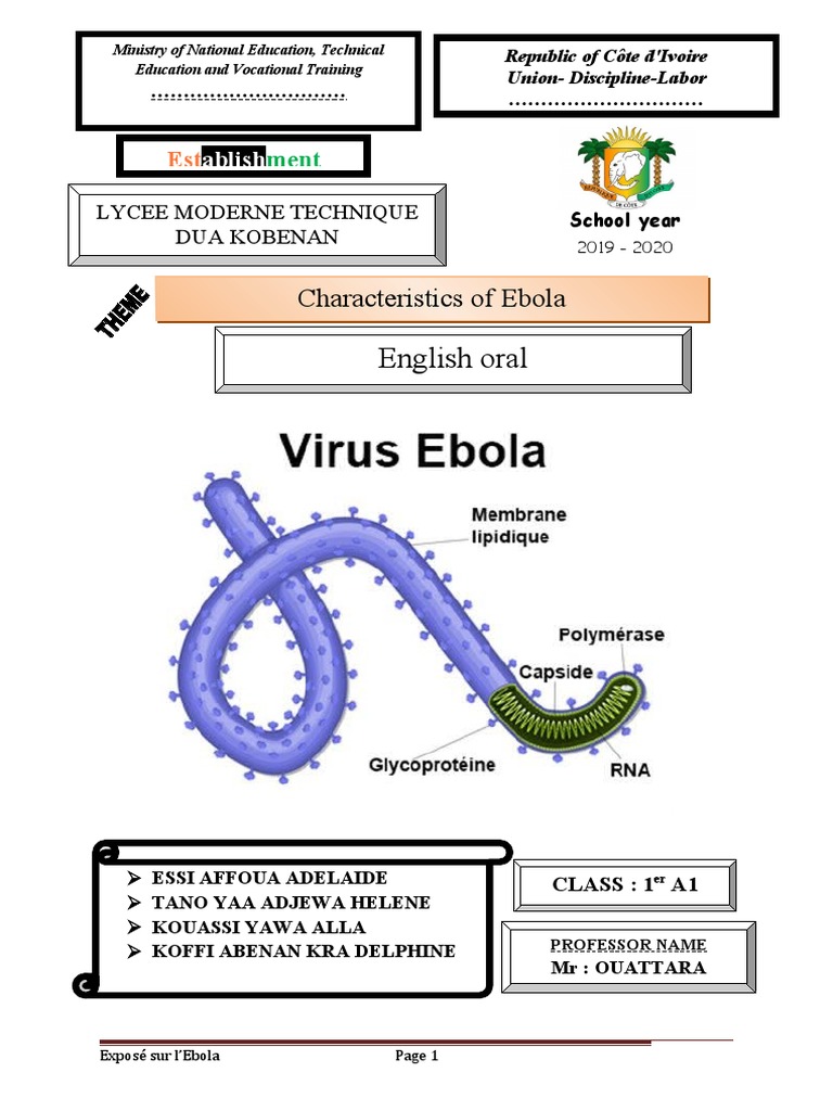 Exposé Sur L - Ebola en Anglais | PDF | Infection | Virus