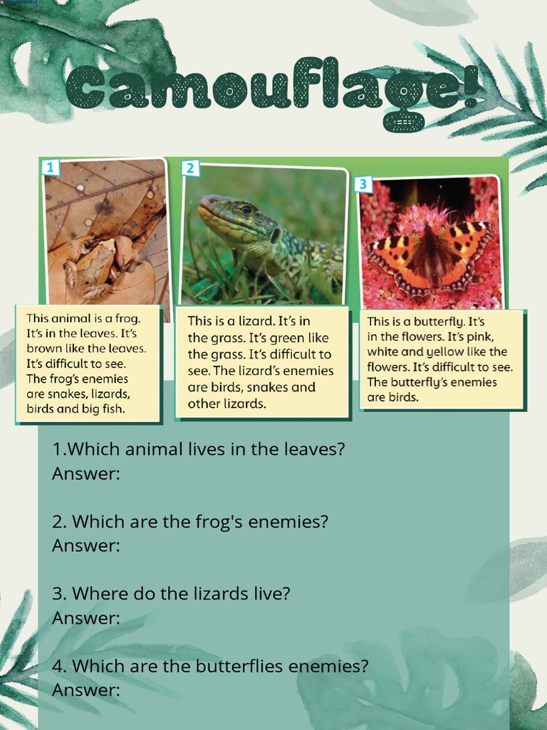 Camouflage Reading (3º Prim) | PDF