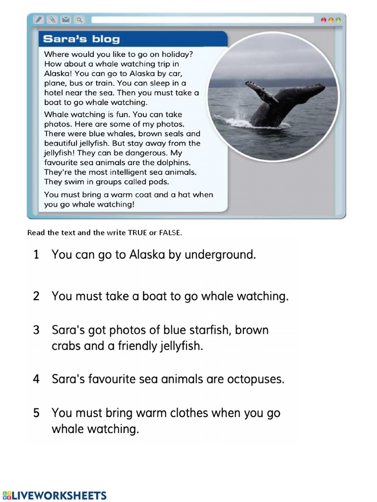 Sara's Blog Reading (5º Prim) | PDF