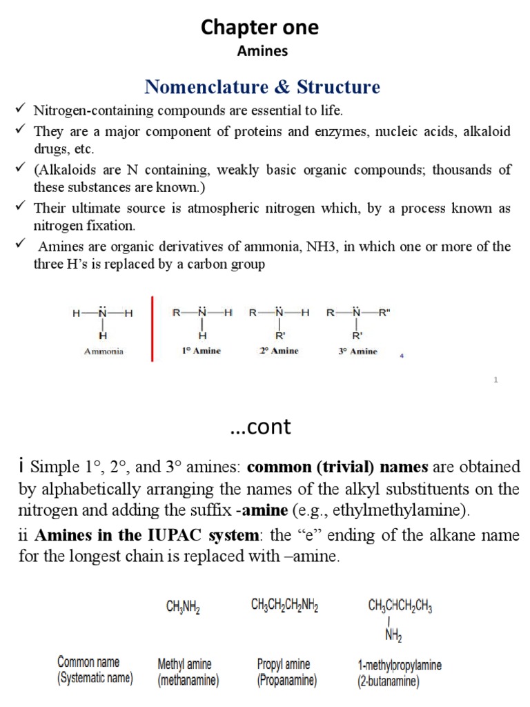 Understanding Amines: Structure & Properties | PDF | Amine | Aldehyde