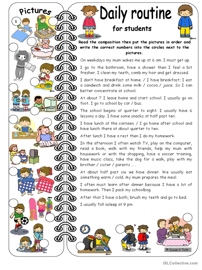 Daily Routines For Students - Elementary - With Key | PDF | Lunch | Meal