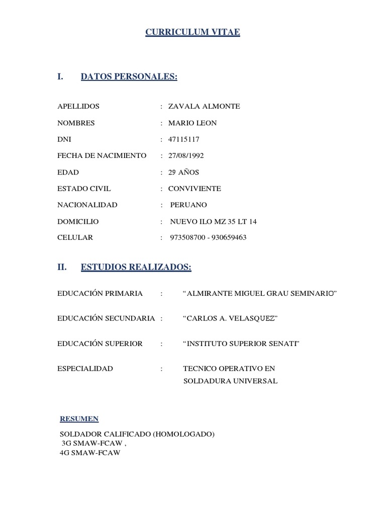 Curriculum Vitae de Mario León Zavala | PDF | Soldadura | Construcción