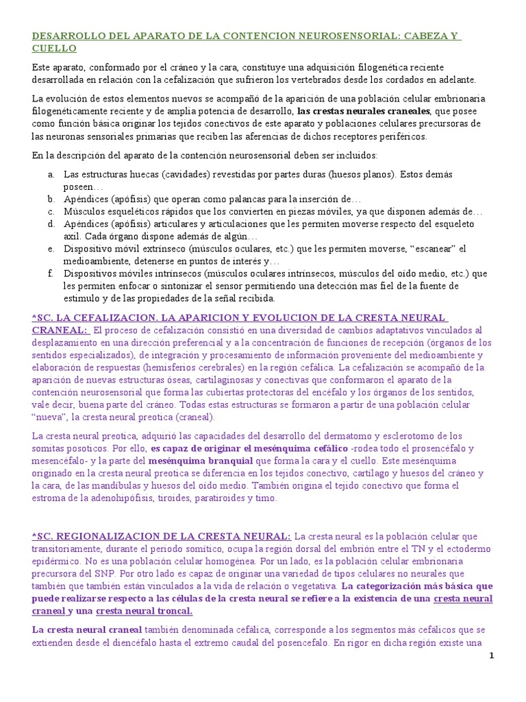 Cara Cuello Ojo Y Oido Pdf Nariz Humana Cráneo