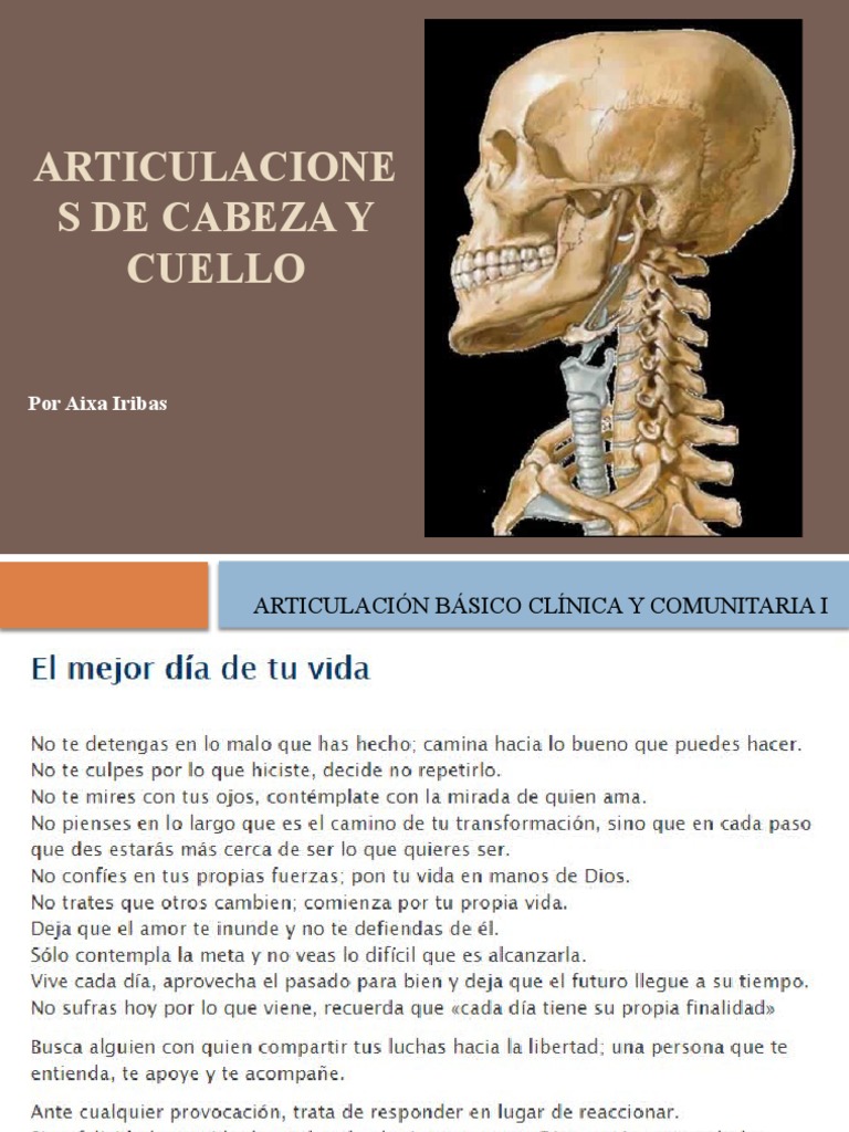 Articulaciones de Cabeza y Cuello | PDF | Articulación | Cráneo