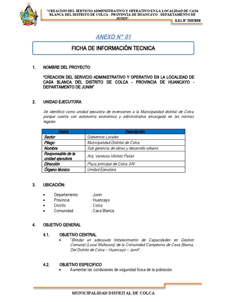 Ficha de Informacion Tecnica | PDF | Economias