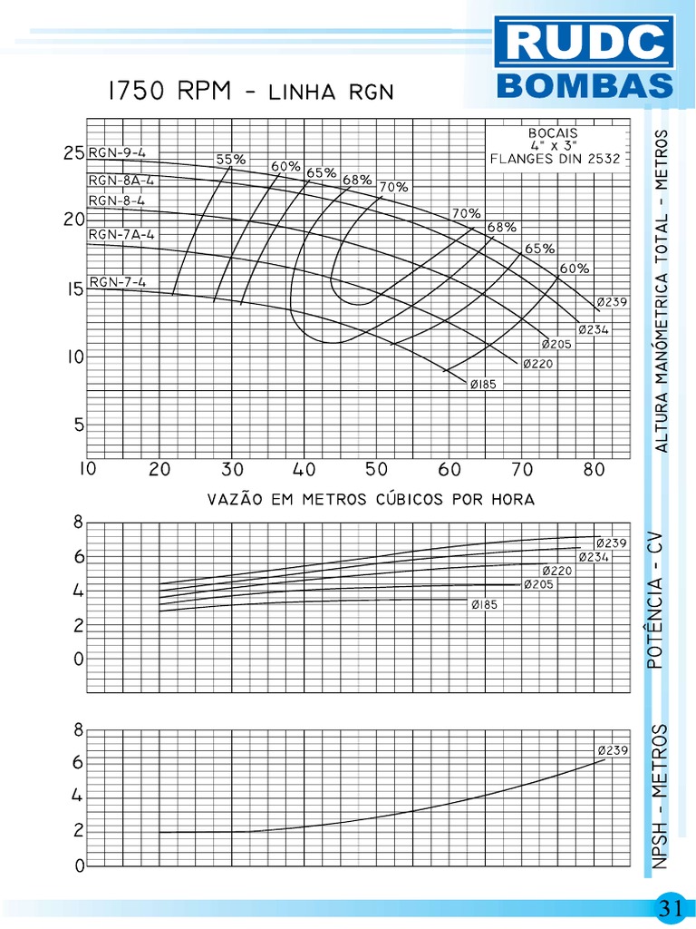 Catálogo de Curvas RUDC BOMBAS PG31 RGN 1.750RPM | PDF